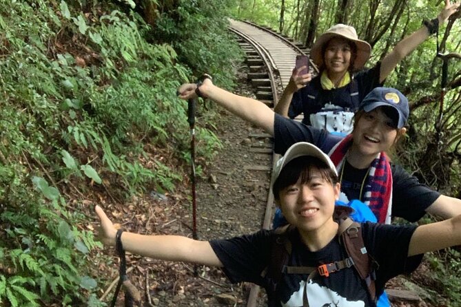 [Private Guide & Plan With Bento] Lets Walk in the Forest of Thousands of Years of Age! Jomon Cedar Day Trip Trekking [Special Lunch With Yakushima Ingredients! ] - Jomon Cedar Day Trip Trekking