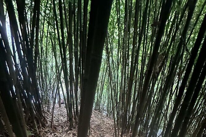 Private Guided Adventure in Nadi with Pick-up - The Itinerary: A Balanced Mix of Nature and Culture