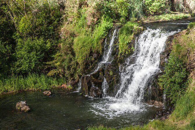 Private Guided Auckland Waterfalls Tour - An In-Depth Look at the Auckland Waterfalls Tour