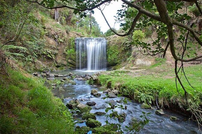 Private Guided Auckland Waterfalls Tour - FAQ