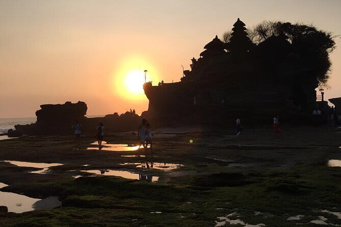 Private Guided Bali Car Charter - Price and Value