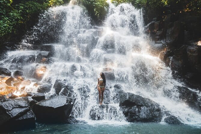 Private Guided Bali Car Charter - Who Should Consider This Tour?