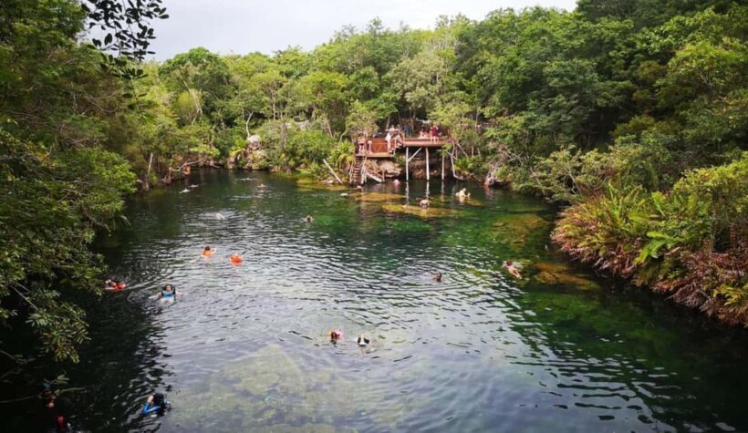 Private Guided Cave & Open Cenote Swim with Lunch - The Experience from a Traveler’s Perspective