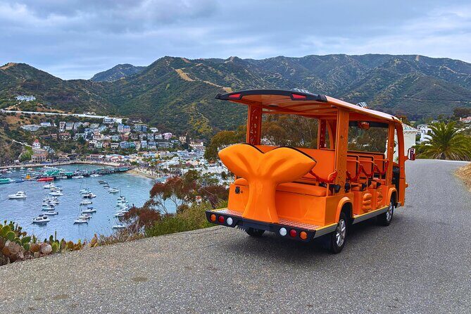 Private Guided City Tour up to 12 Passengers - Who Will Love This Tour?