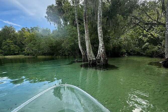 Private Guided Clear Kayak/Paddleboard Rentals on Rainbow River - An In-Depth Look at the Rainbow River Kayaking Experience