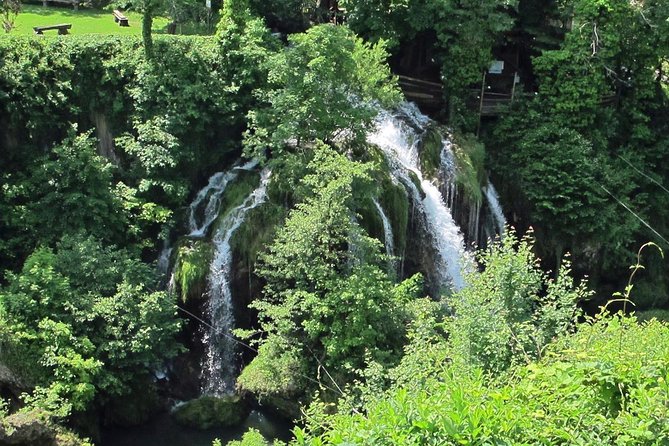 Private Guided Day Tour of Plitvice National Park From Zagreb - Traveler Feedback