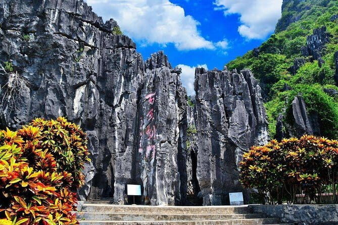 Private Guided Day Tour of Stone Forest and Naigu Stone Forest from Kunming - A Closer Look at the Tour Experience