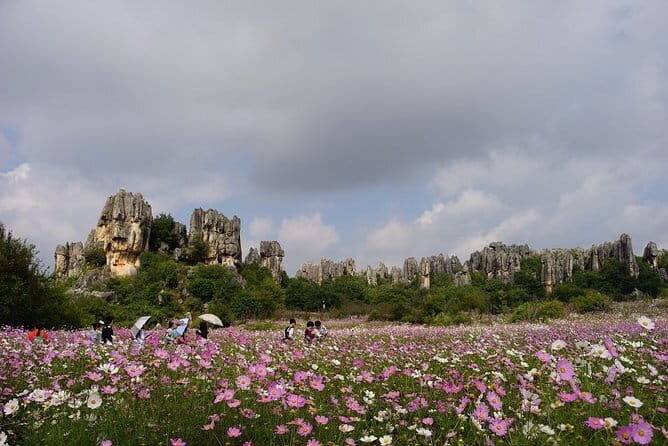 Private Guided Day Tour of Stone Forest and Naigu Stone Forest from Kunming - Final Thoughts