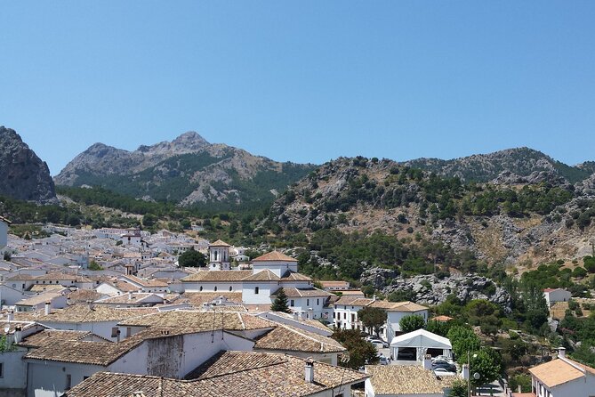 Private Guided Day Trip to the White Villages and Ronda - Highlights and Unique Features