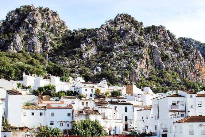 Private Guided Day Trip to the White Villages and Ronda From Seville - Customization Options for Your Trip