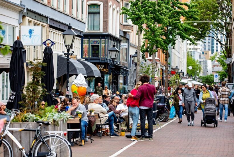 Private Guided Daytrip in Rotterdam and Dordrecht - The Practical Side: What to Expect