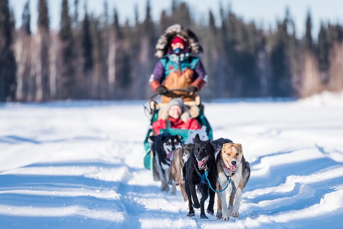 Private Guided Dog Sledding on the Historic Yukon Quest Trail - Meet the Dogs: A Personal Connection