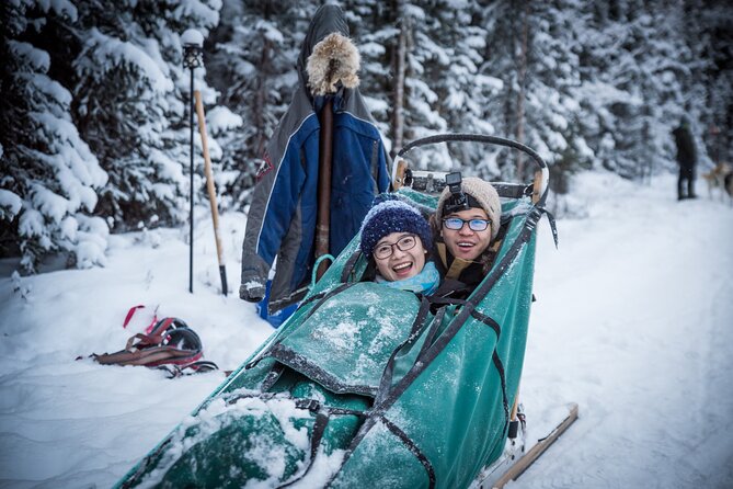 Private Guided Dog Sledding on the Historic Yukon Quest Trail - How to Book Your Adventure