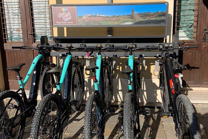 Private Guided E-bike Tour in Bertinoro - Insights from Reviews
