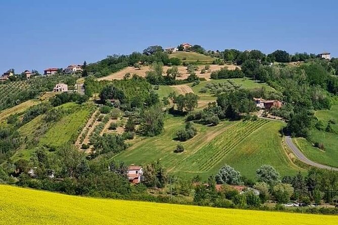 Private Guided E-bike Tour in Bertinoro - The Sum Up: Is This Tour Worth It?