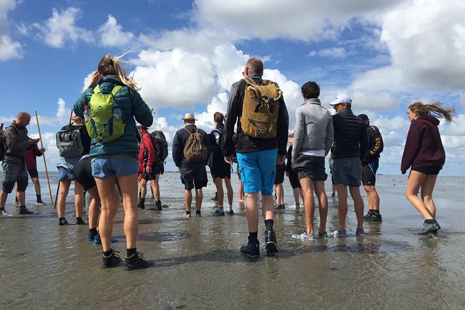 Private Guided Full-Day Customizable Tour of Holland From Amsterdam - Cultural Immersion