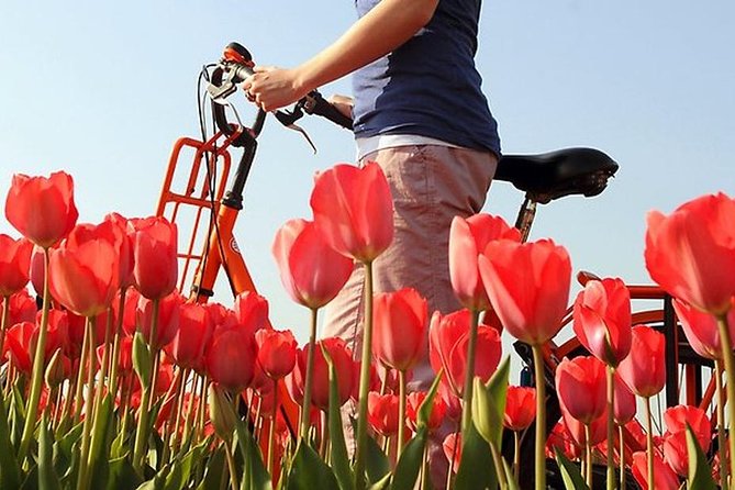 Private Guided Full-Day Customizable Tour of Holland From Amsterdam - Accessible and Accommodating