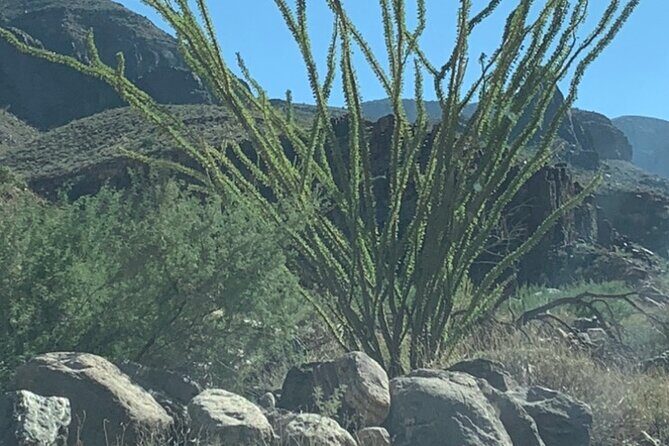 Private Guided Grand Canyon Tour in Arizona - FAQ