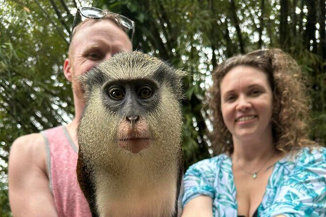 Private Guided Grenada Island Tour "BY THE HOUR" - The Detailed Itinerary: What to Expect at Each Stop