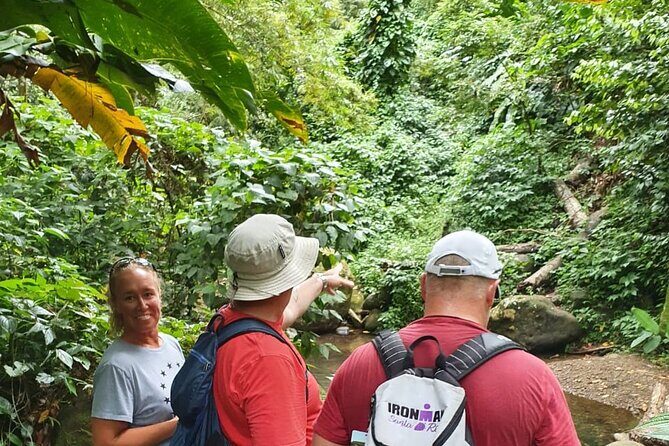 Private Guided Grenada Island Tour "BY THE HOUR" - Who Will Love This Tour?