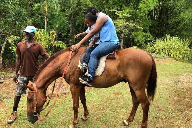 Private Guided Group Full-Day Water Tour fr Kingston to Portland - Final Thoughts