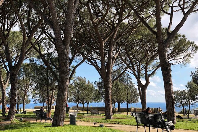 Private Guided Half Day Panoramic Tour in Naples - An In-Depth Look at the Naples Scooter Tour