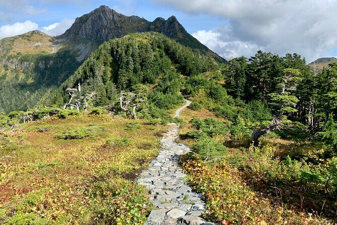 Private Guided Hike in Sitka, Alaska - An Overview of the Private Guided Hike Experience