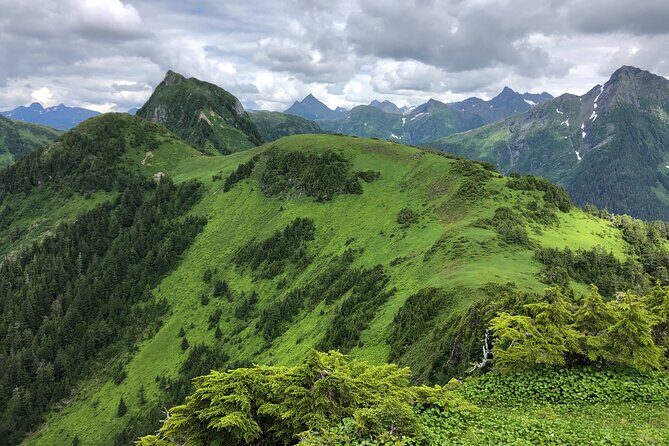 Private Guided Hike in Sitka, Alaska - The Value of a Private Guided Hike