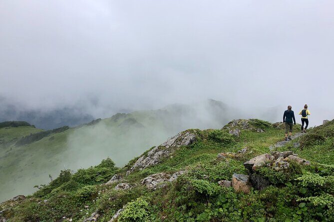 Private Guided Hike in Sitka, Alaska - Highlights as Seen Through Visitors’ Eyes
