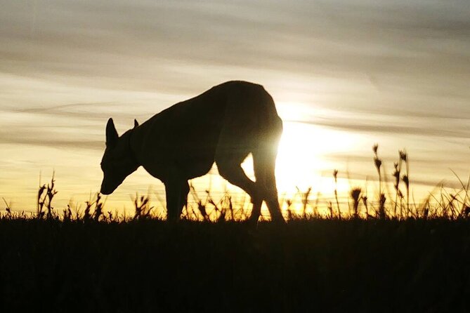 Private Guided Hike: Sunset On Pen y Fan In The Brecon Beacons - The Sum Up