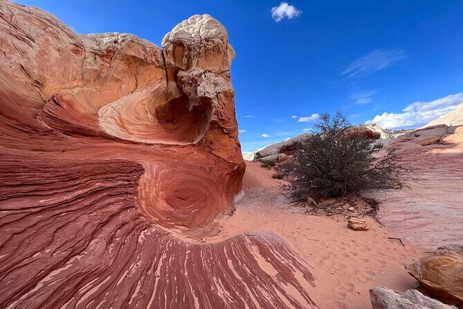 Private Guided Hike through White Pocket Off Road Activity - Final Thoughts