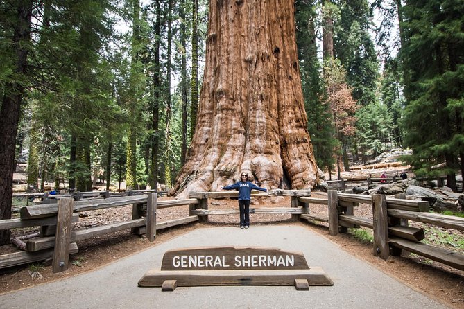 Private Guided Hiking Tour - Sequoia National Park - What the Tour Includes and What You Need to Budget For