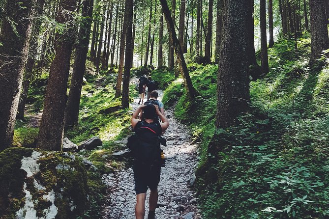 Private Guided Hiking Tour - Sequoia National Park - The Authentic Experience: Authenticity and Value