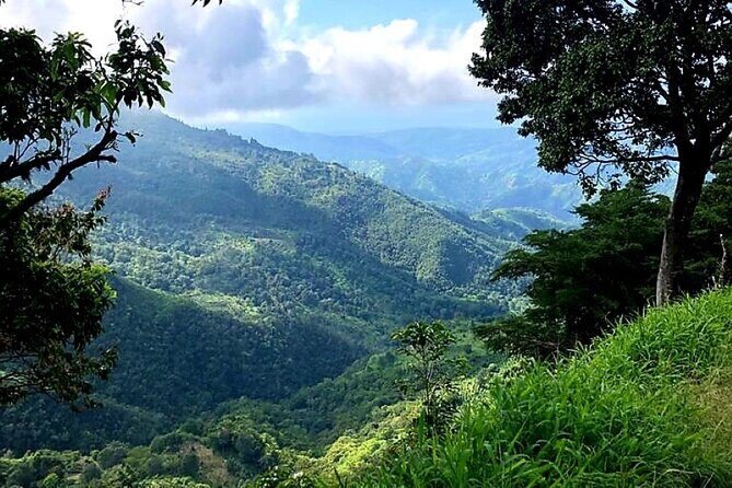 Private Guided Hiking Tour to the Blue Mountains - Final Thoughts