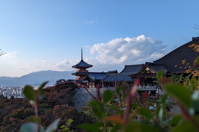 Private Guided Historical Sightseeing Tour in Kyoto - Pickup and Accessibility