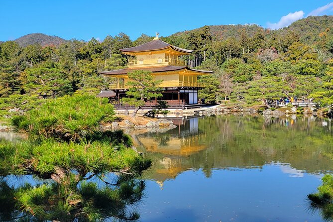Private Guided Historical Sightseeing Tour in Kyoto - Navigating the City With Ease