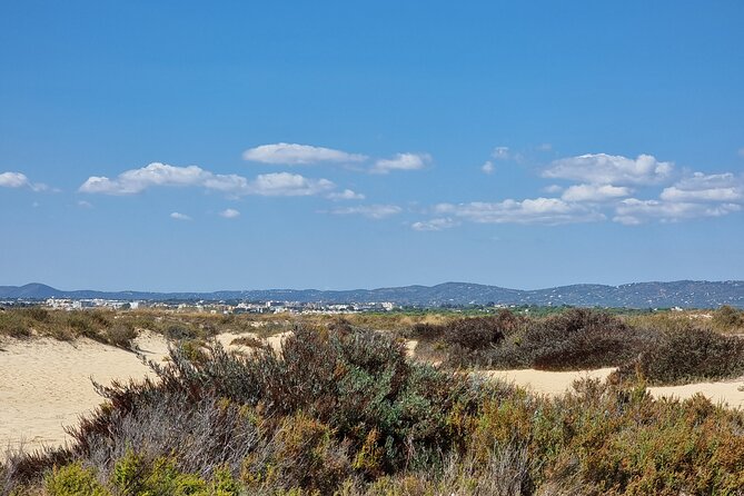 Private Guided kayak Tour/Birdwatching/Nature Tour. - Authentic Wildlife Watching and Birding