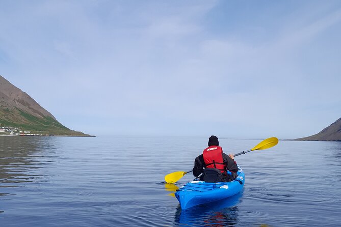 Private: Guided kayak tour in Siglufjörður / Siglufjordur. - Private Guided Kayak Tour in Siglufjörður: A Calm Waters Adventure