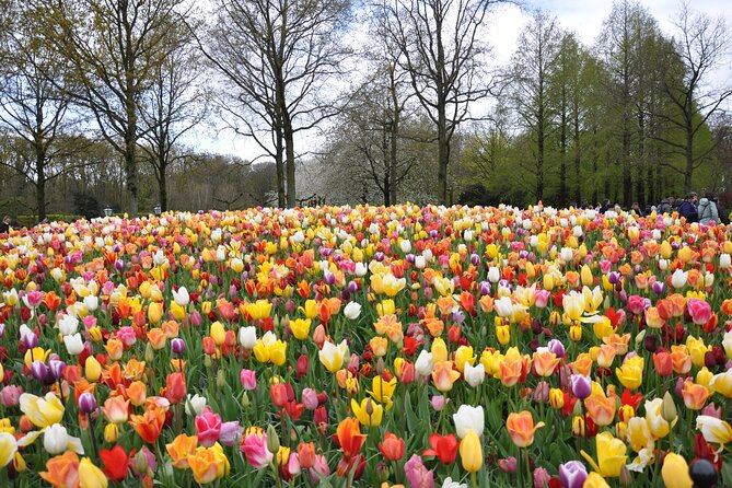 Private Guided Keukenhof Gardens and Zaanse Schans Tour - What the Reviews Say