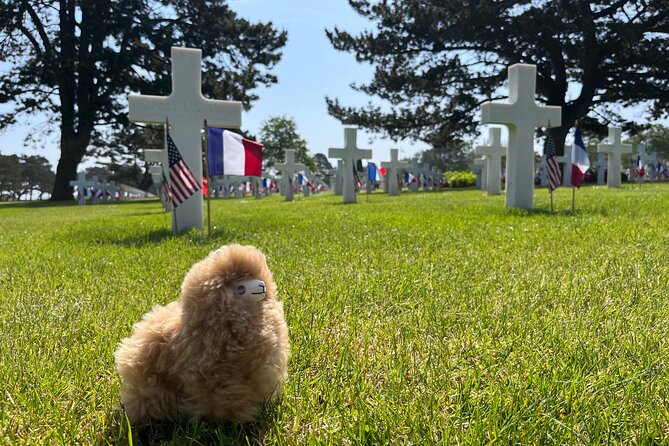 Private Guided Mont Saint Michel & D-Day Tour From Paris - Tour Logistics