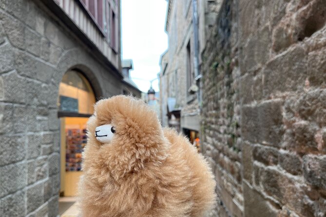 Private Guided Mont Saint Michel & D-Day Tour From Paris - Exploring Omaha Beach and Normandy American Cemetery