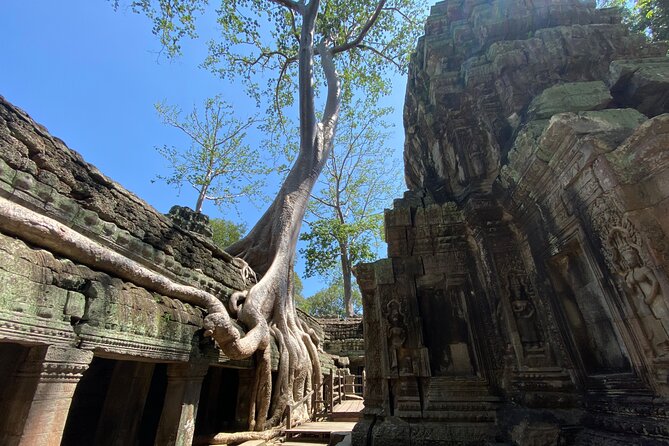Private Guided Multi-Day Historical Tour in Temples of Cambodia - Why This Tour Offers Great Value
