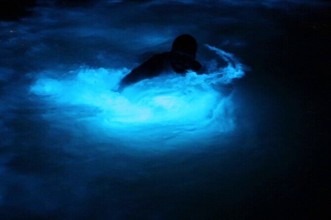 Private Guided Night Tour of Luminous Lagoon in Montego Bay - Introduction