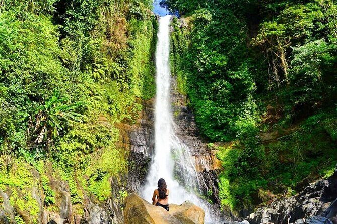 Private guided puncak day tour;Solo;Small Group - Key Points