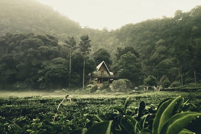 Private guided puncak day tour;Solo;Small Group - The Practical Details