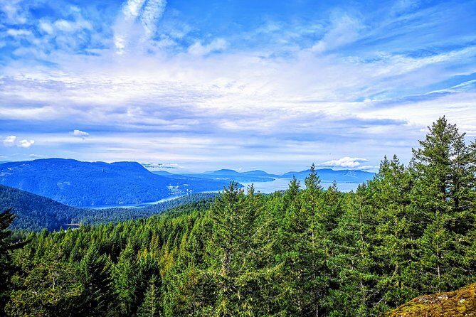 Private Guided Rainforest Hike in Victoria - Frequently Asked Questions