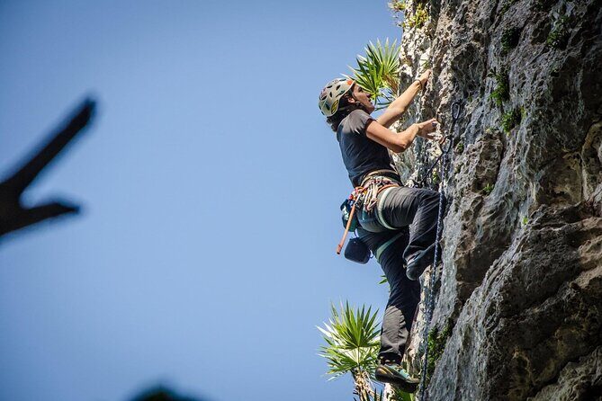 Private Guided Rock Climbing Trips in Puerto Rico - Who Should Consider This Climbing Trip?