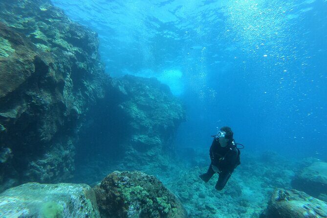 Private Guided Shore Dive - Analyzing the Experience