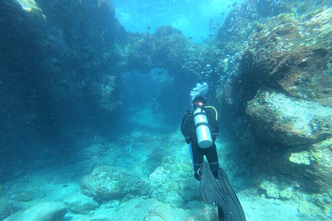 Private Guided Shore Dive - Who Should Consider This Tour?