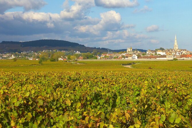 Private Guided Sidecar Tour in Burgundy From Meursault - Scenic Vantage Points